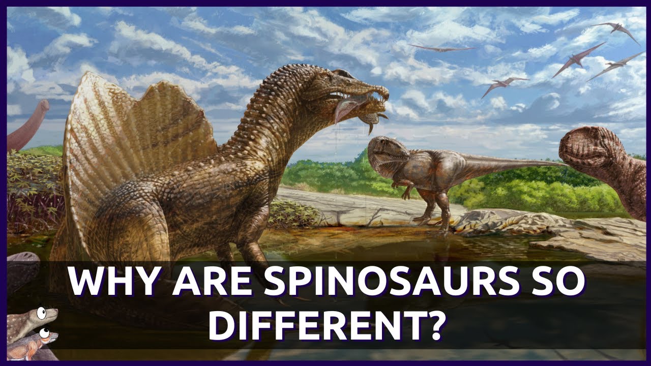Why are Spinosaurs So Different From Other Dinosaurs? (New Species ...