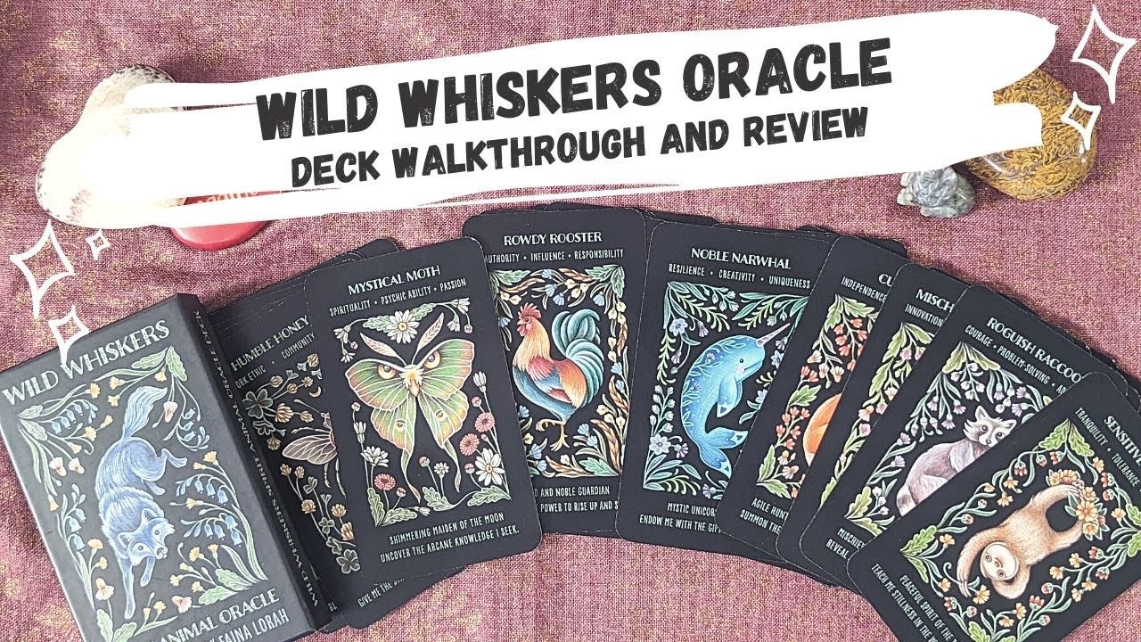 Wild Whiskers Spirit Animal Oracle by Faina Lorah 🐷🦝🦁 Oracle Deck ...