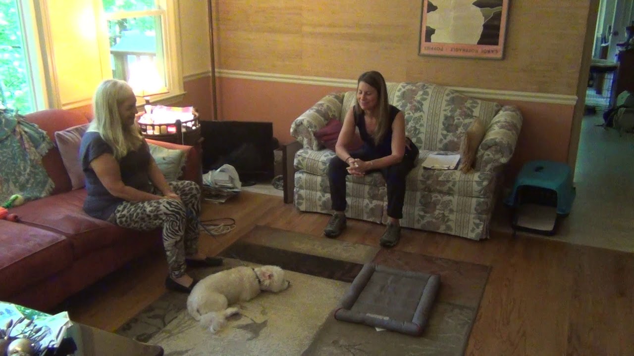 Get Grounded and Centered for your Dog Training Session - YouTube