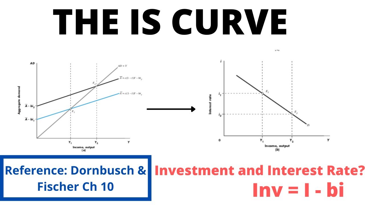 The IS Curve | Dornbush & Fischer Macroeconomics Ch 10.| Introductory ...