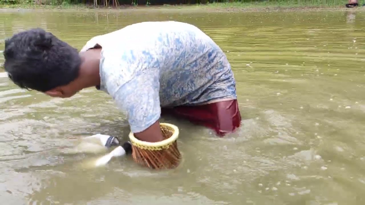 Fishing With Polo | Traditional Fish Hunting Technique | Fish Hunting ...