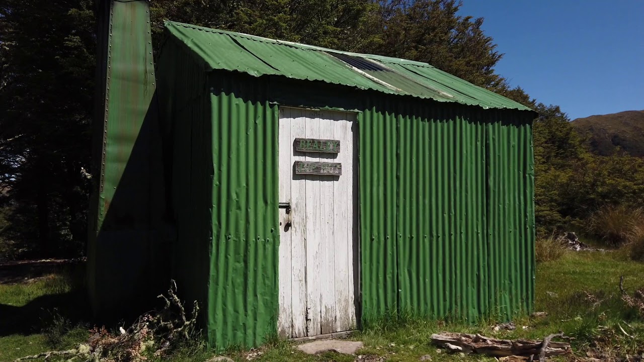Walking the Bealey Spur Track, Arthurs Pass, New Zealand - YouTube