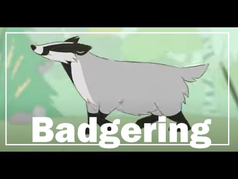 Badger // Walk Cycle Study - YouTube