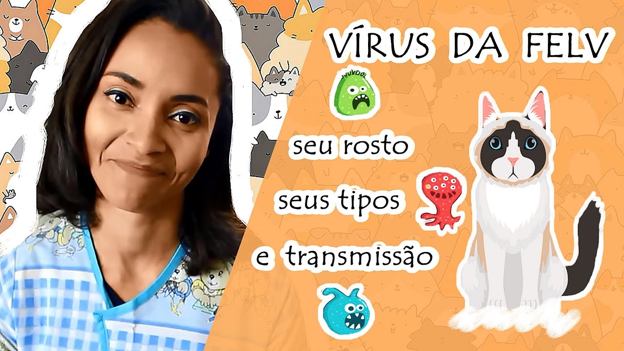 #FELV. SEU ROSTO, SEUS TIPOS E TRANSMISSÃO. - YouTube