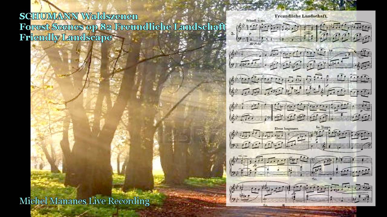 SCHUMANN Waldszenen(Forest Scenes)op 82 5 Freundliche Landschaft-Michel ...