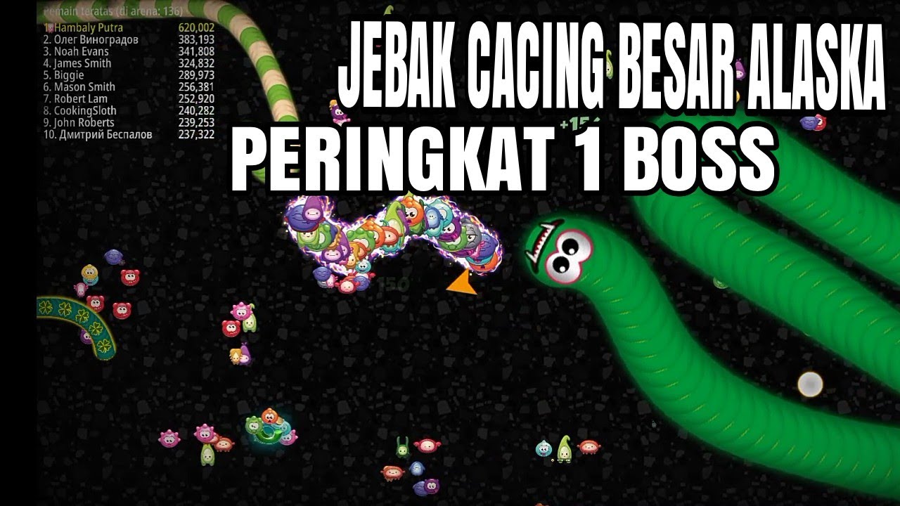 JEBAK CACING BESAR ALASKA LANGSUNG PERINGKAT 1 - YouTube