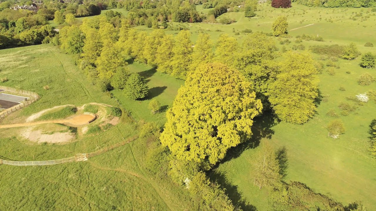 Winter to Spring in Tring Park - April-May 2023 - YouTube