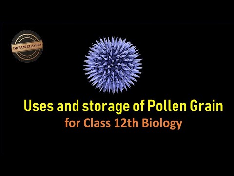 Lecture 10 Uses and storage of Pollen Grain for class 12th Biology. # ...