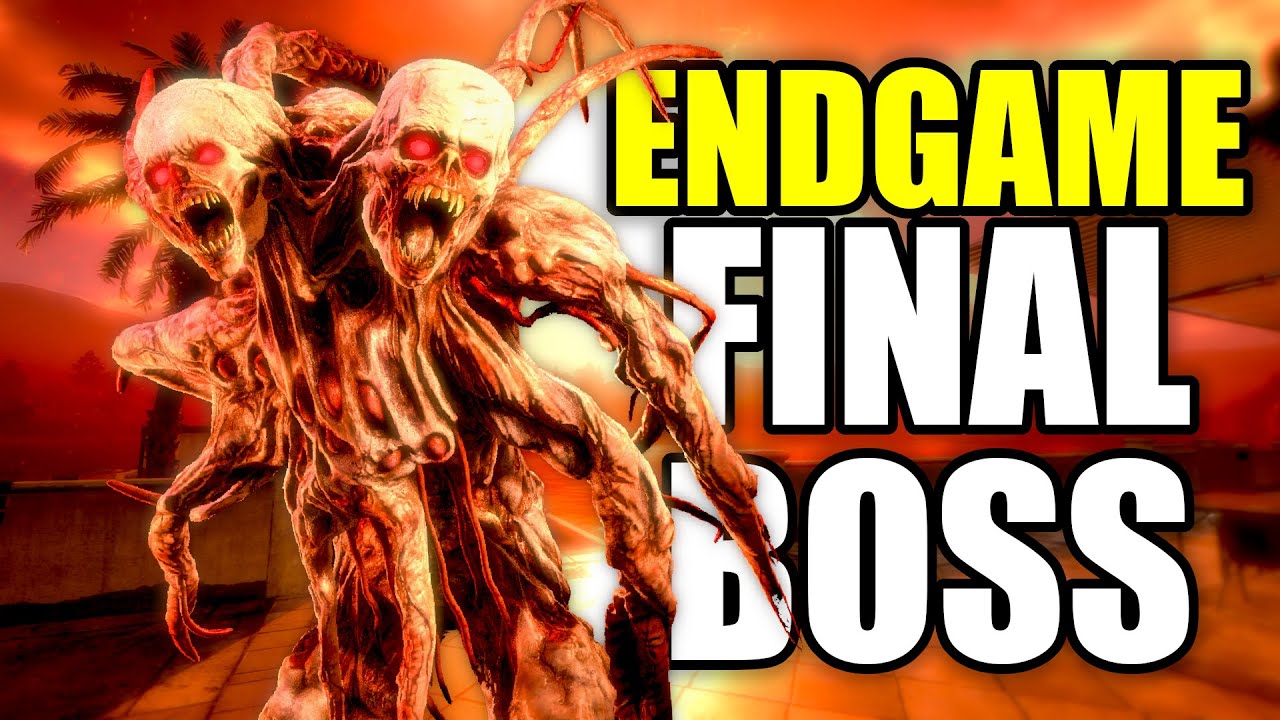 Can I Beat the Endgame FINAL BOSS? - YouTube