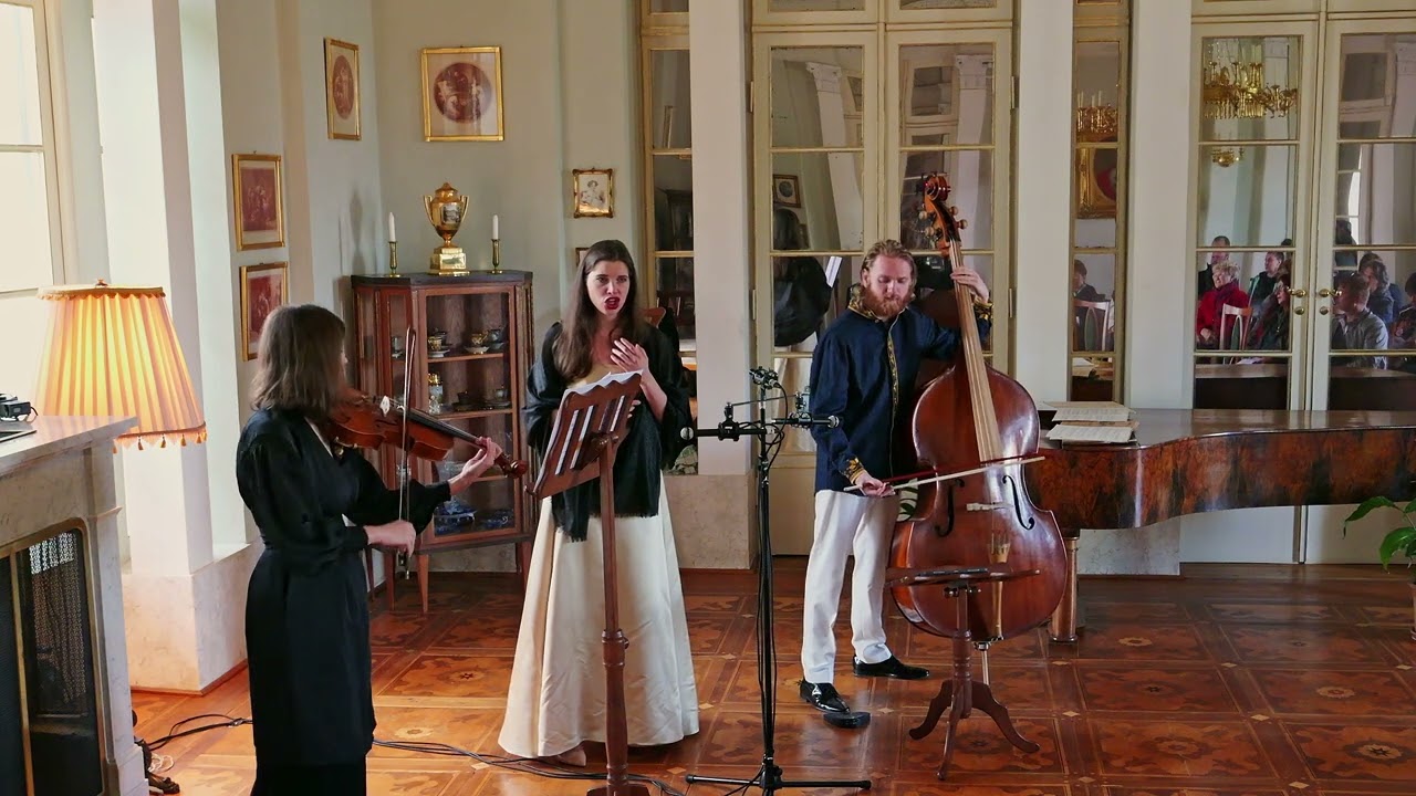 Viennese Tuning Times – Sebastian Brettfeld Double Bass and Violone ...