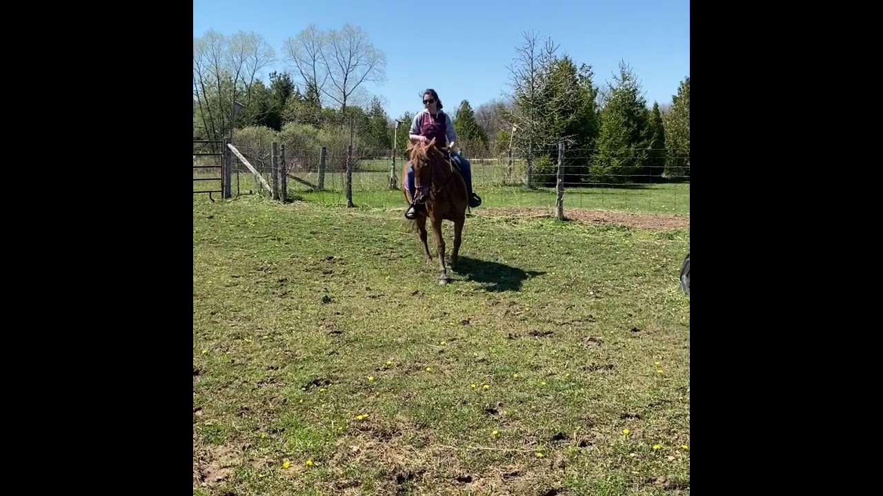 Skylar Walk and Slow Gait - YouTube