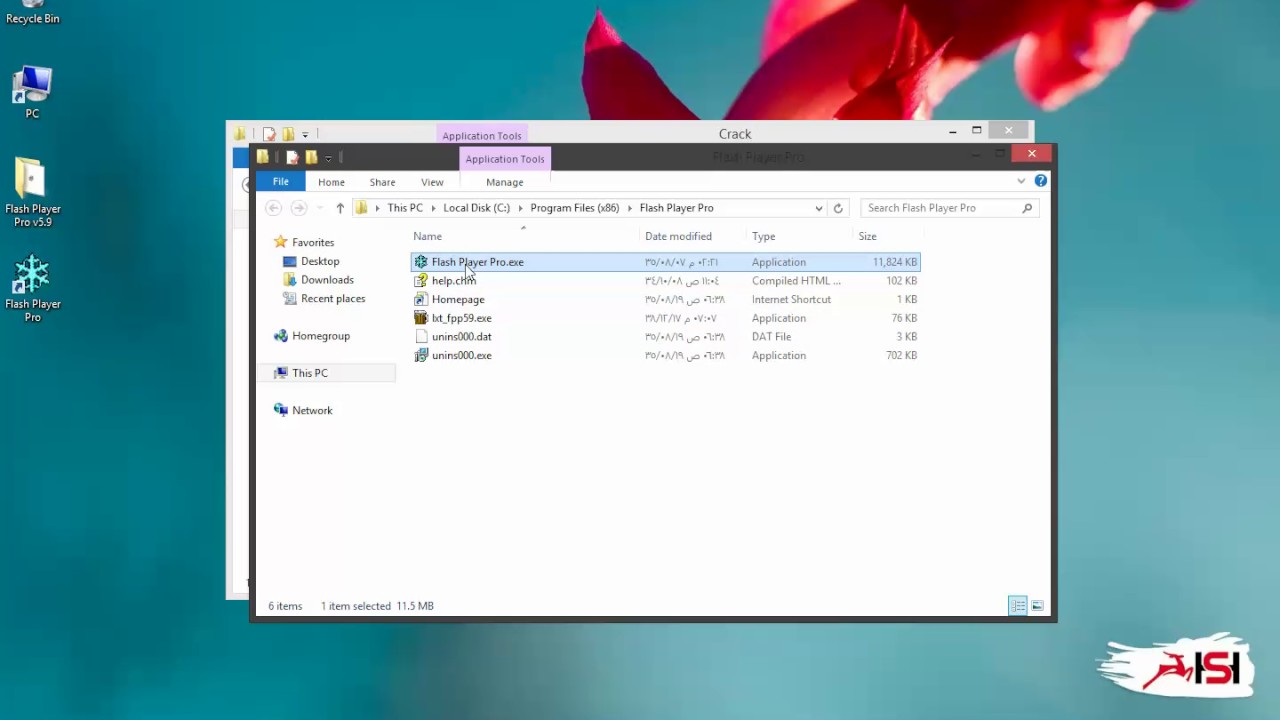 Flash Player Pro - YouTube