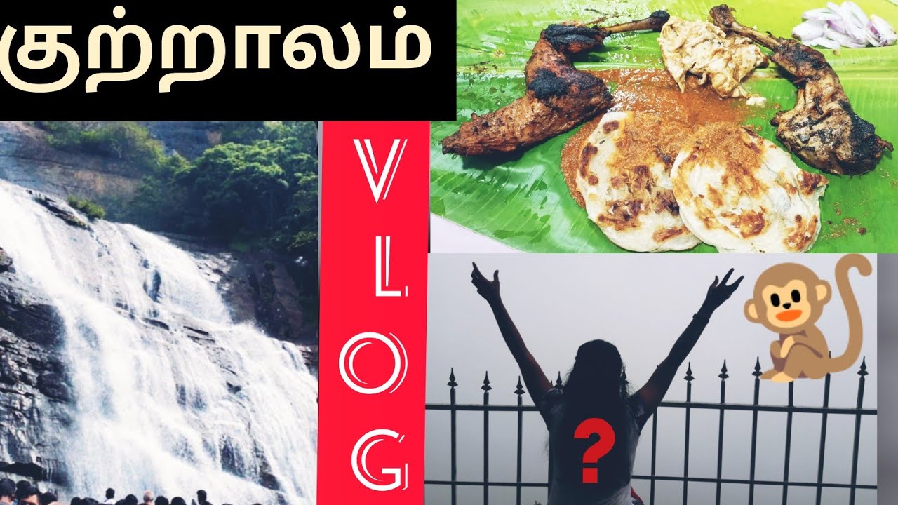 🥳COUTRALLAM Vlog | 😋Border Rahmath Parotta Kadhai | குற்றாலம் falls Vlog | in Tamil | Dazzling ...