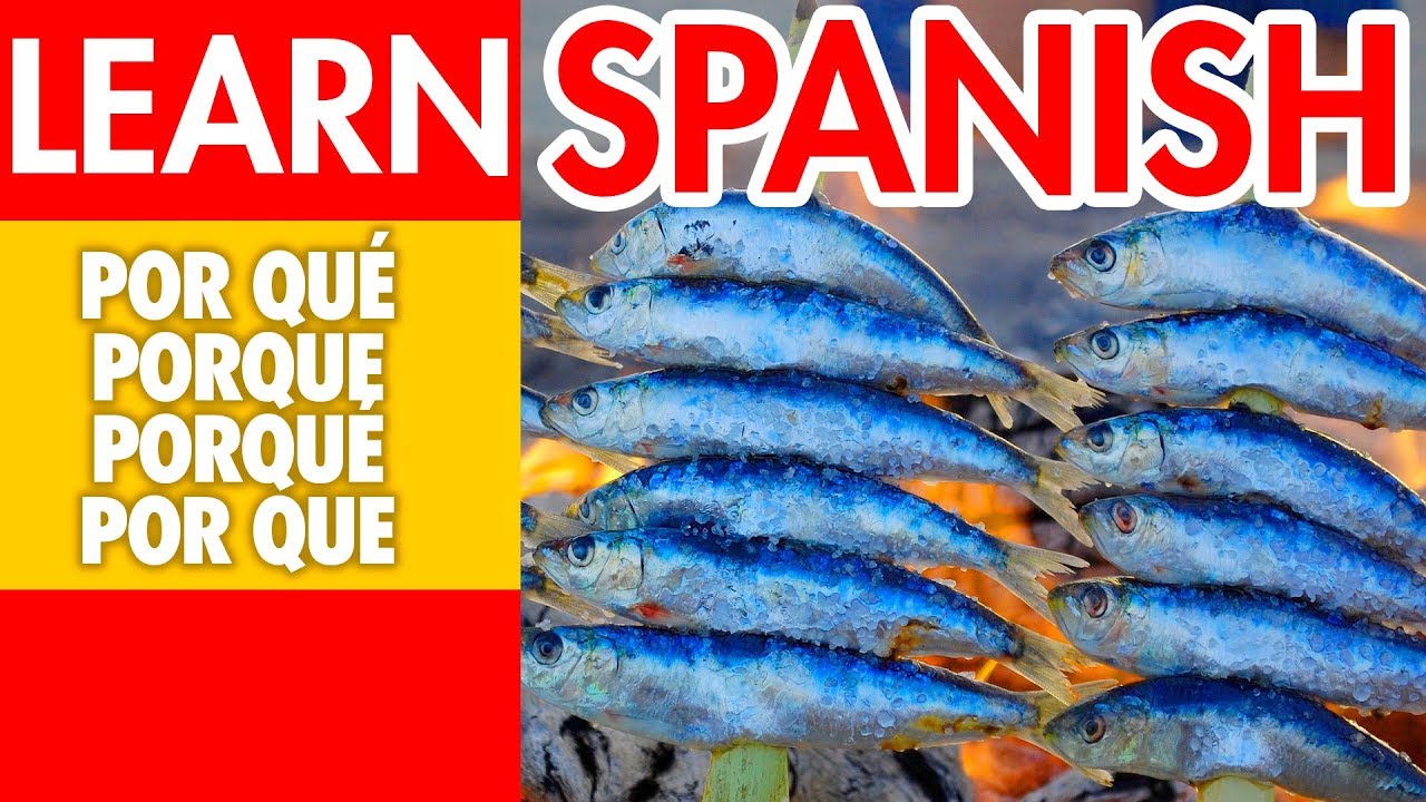 Difference Between Por Qu Porque Porqu And Por Que Learn Spanish difference-between-por-qu-porque-porqu-and-por-que-learn-spanish