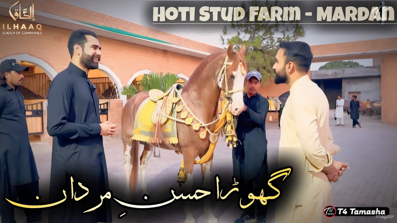 Ghora HUSSN E MARDAN - Abbas Khan Hoti Nawab Of Mardan unique Horse Collection - YouTube