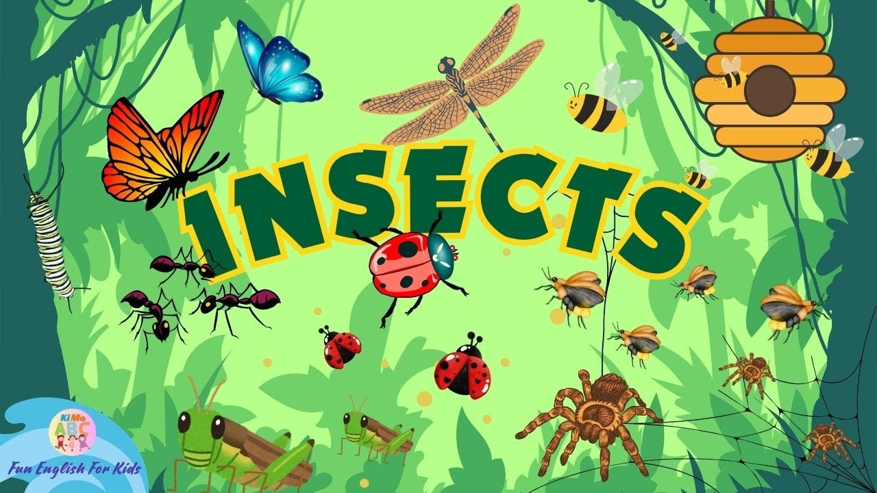 Kids vocabulary - Insects - Fun English for Kids - YouTube