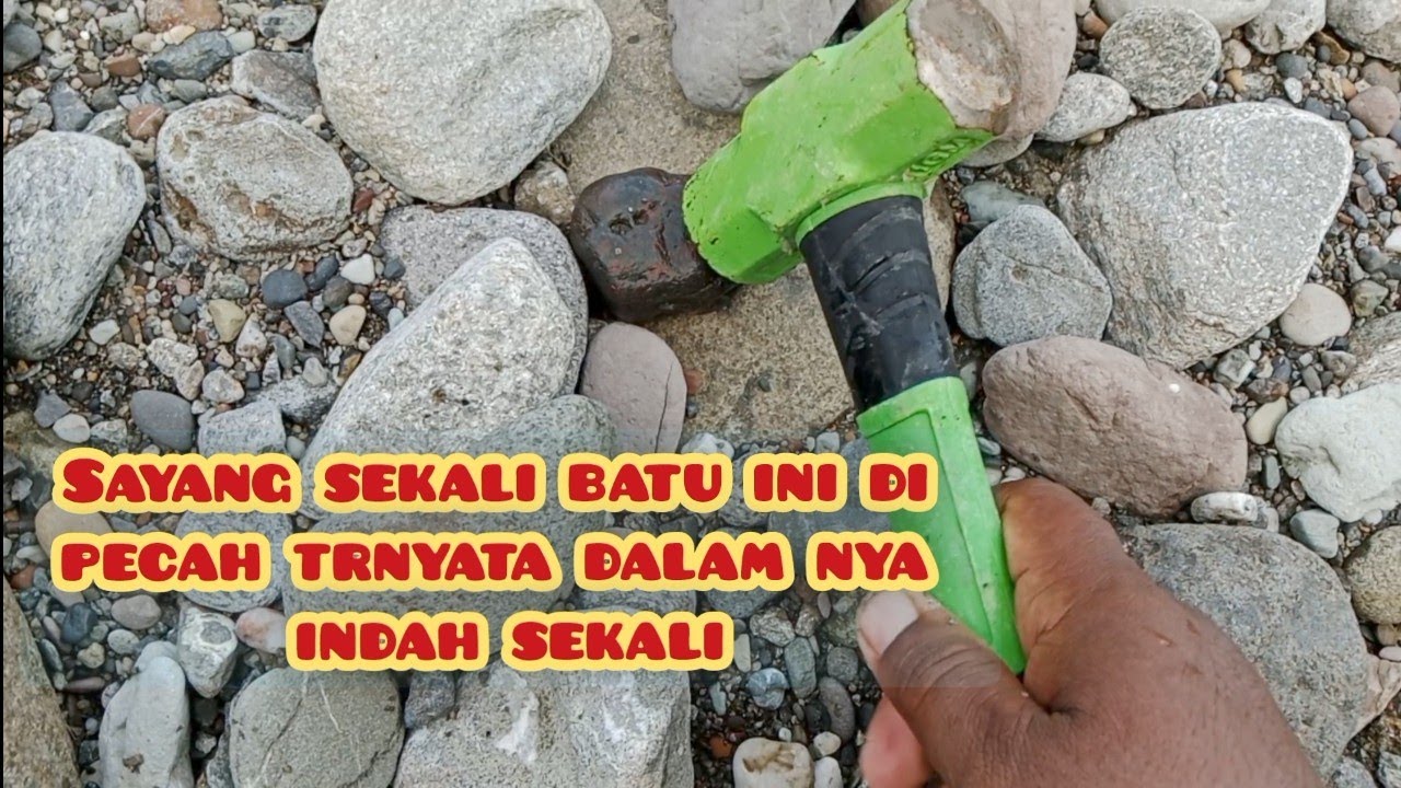 Penemuan fosil getah yang membantu di sungai lukulo || fosil getah ...