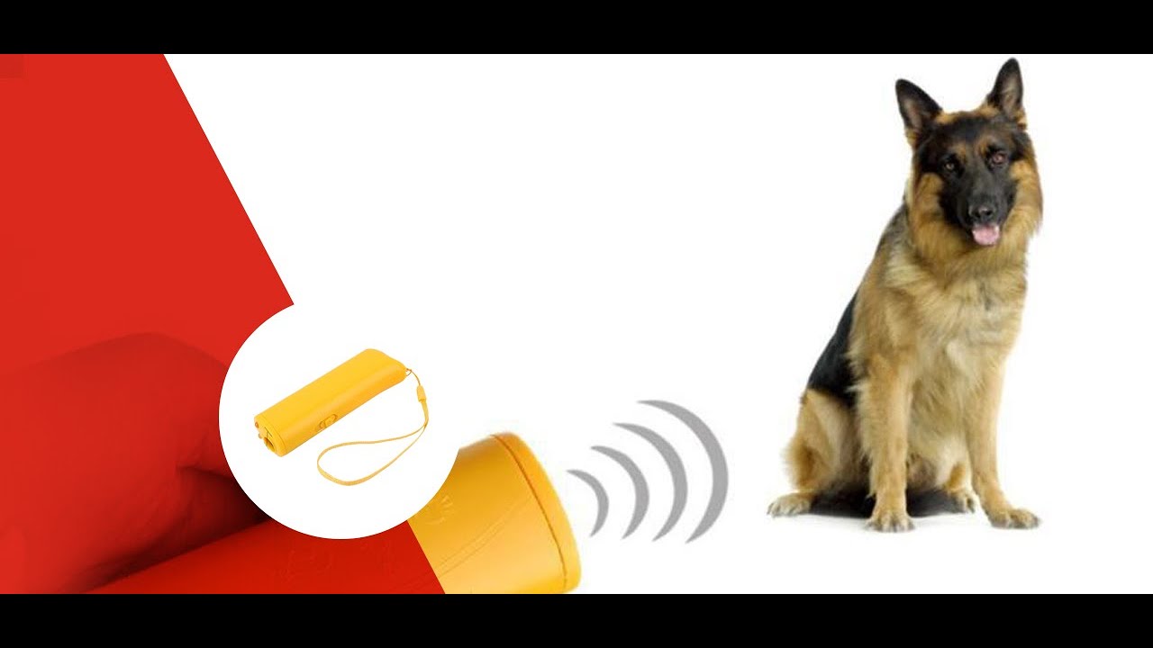 Voici BarXstop, le gadget anti-aboiement ! - YouTube