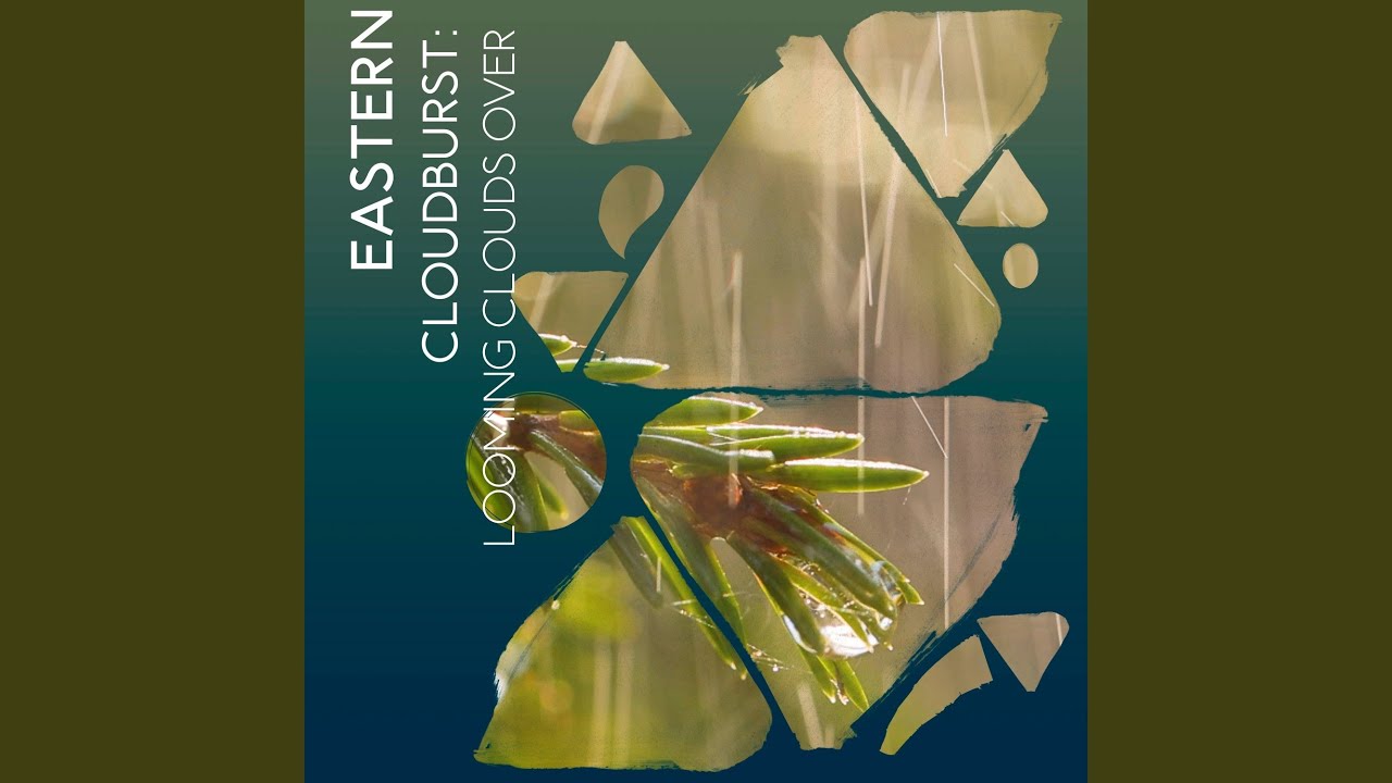 Loopable Echoed Rain - YouTube