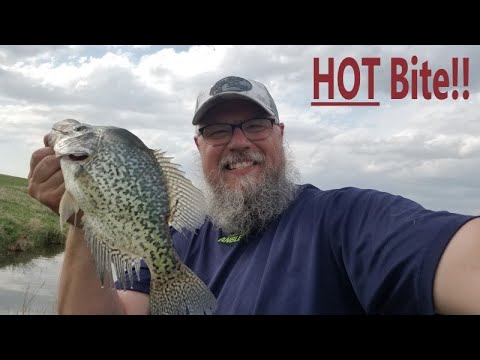 Almost NON-STOP ACTION at my favorite farm pond! BIG Crappie! - YouTube
