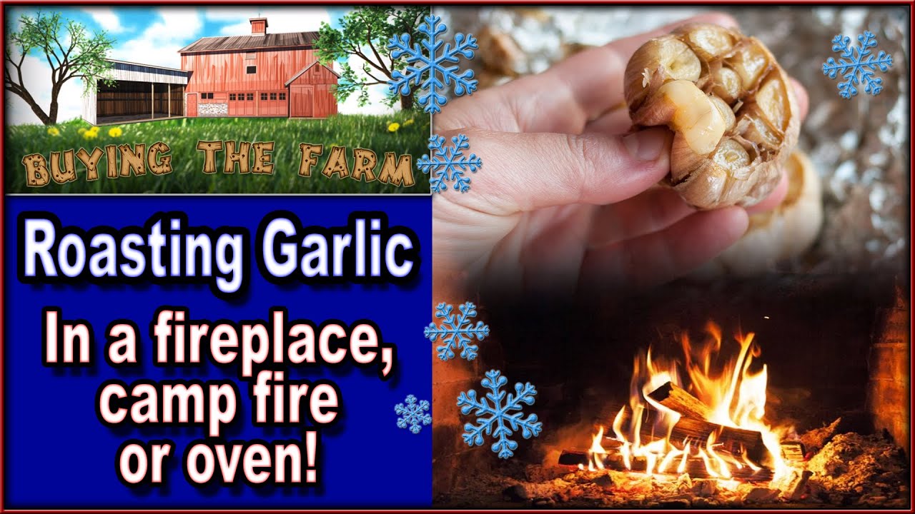🔥🧄 Roasted Garlic - prepared in a fireplace, camp fire or oven ...