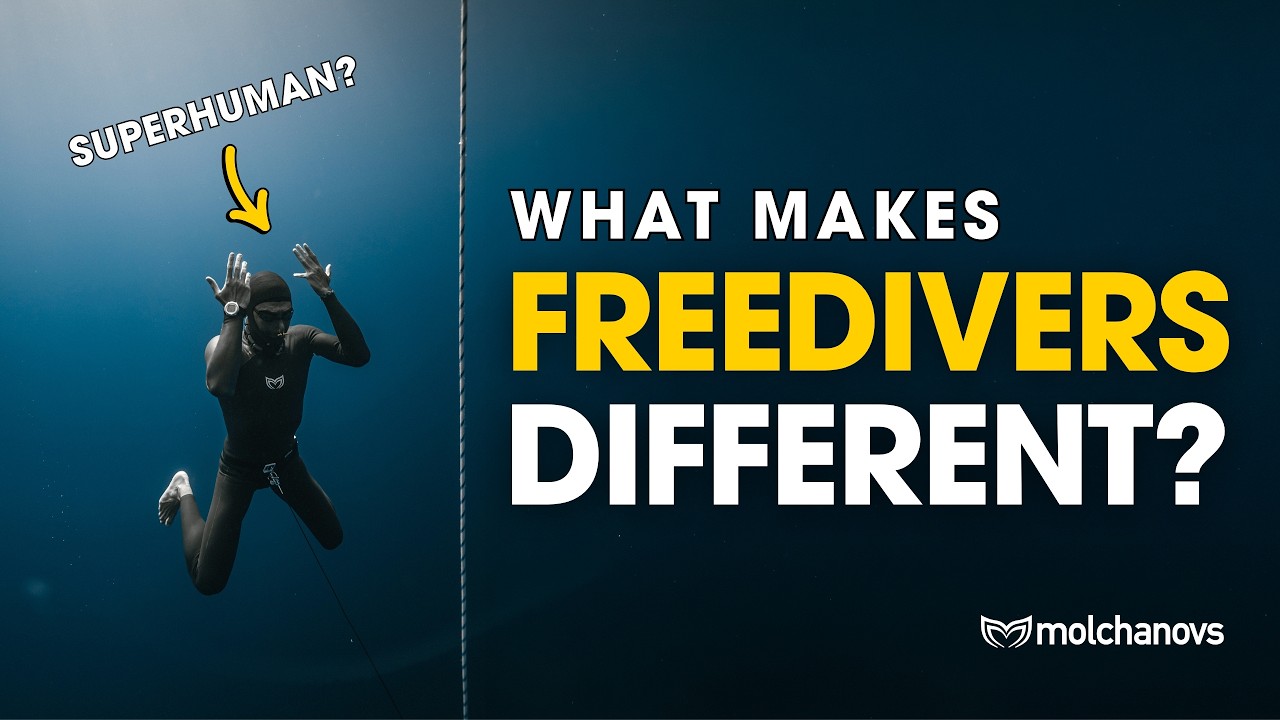 What makes freedivers DIFFERENT? | Pro Freediver Gus Kreveinas Explains ...