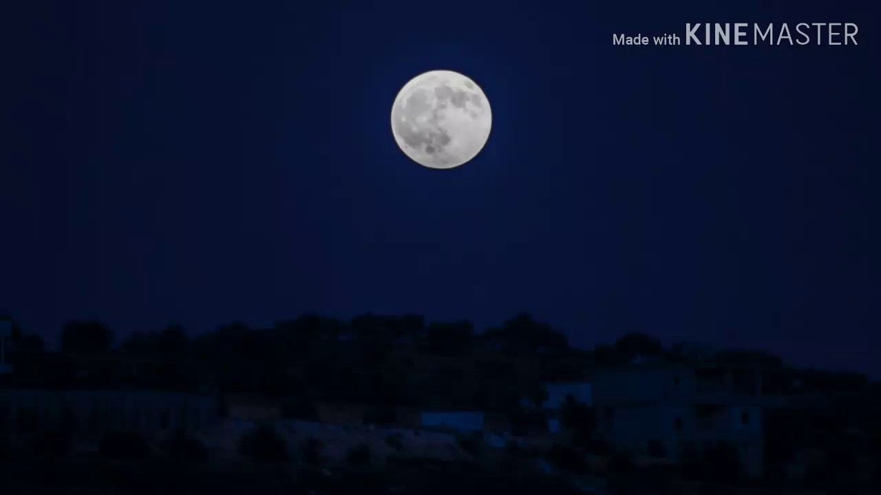 My Godzilla Fan Film teaser - YouTube