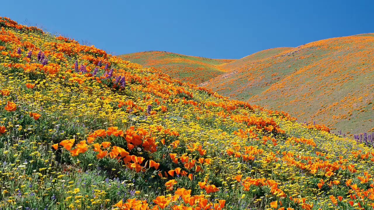 A View from Centennial on Tejon Ranch - by Richard Dickey - YouTube