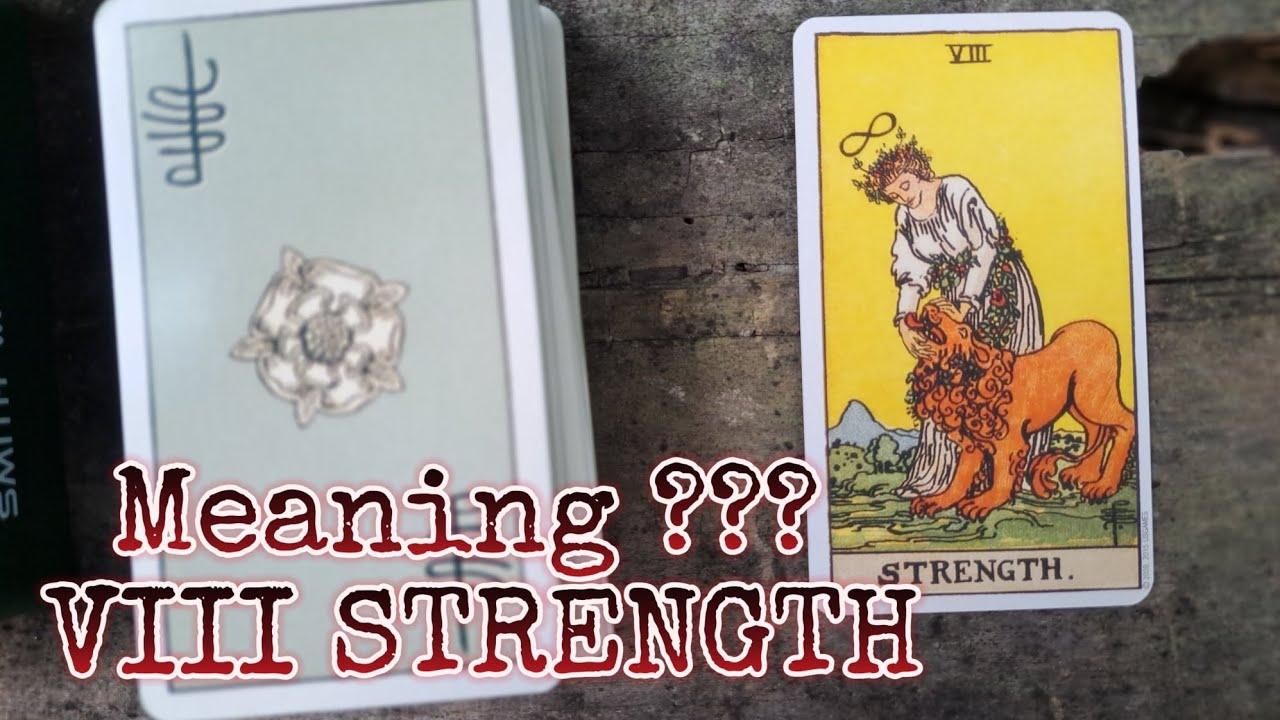 leaning tarot for beginer | VIII strength tarot card meaning ý nghĩa lá ...