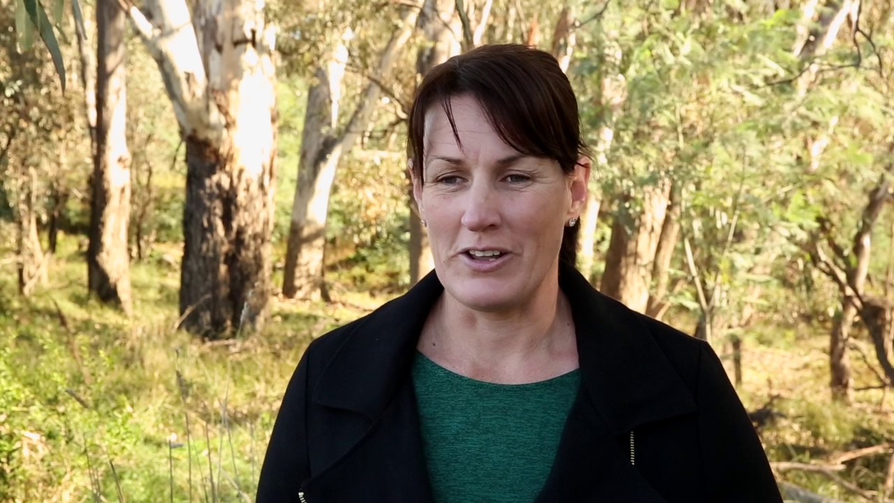 Catchment conversations - Kate Brunt - YouTube