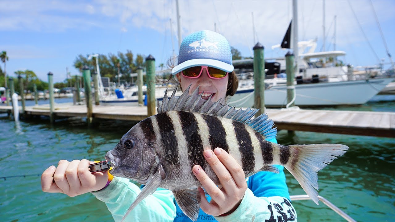 Sheepshead Challenge (Saltwater Fishing Florida Sheephead) - YouTube