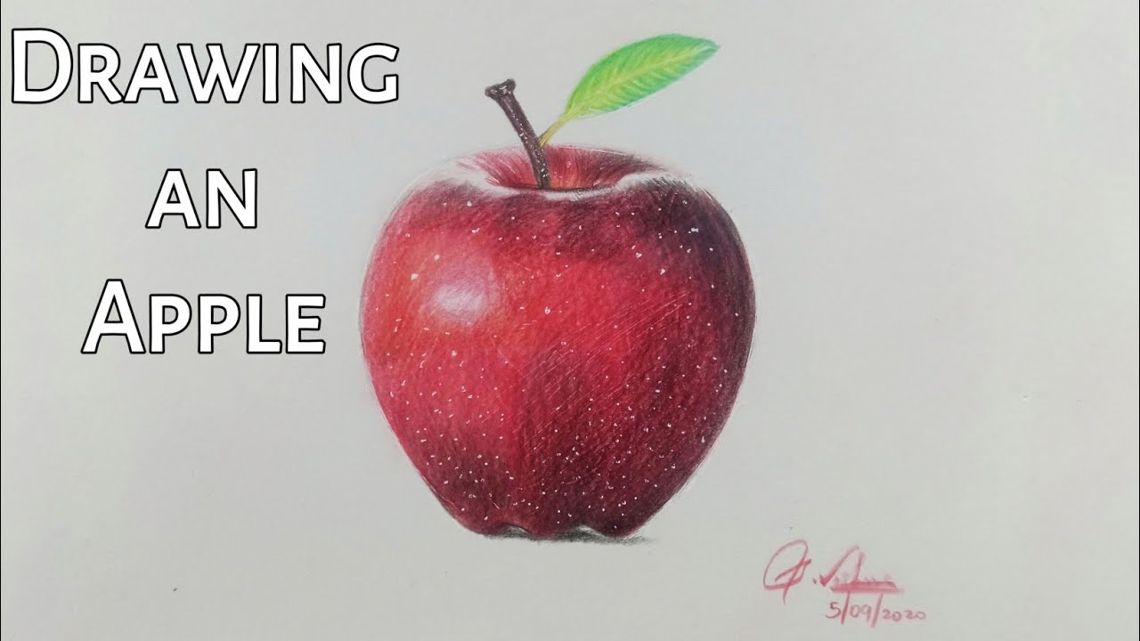 Drawing a realistic apple with colour pencils | #3D #realistic #drawing ...