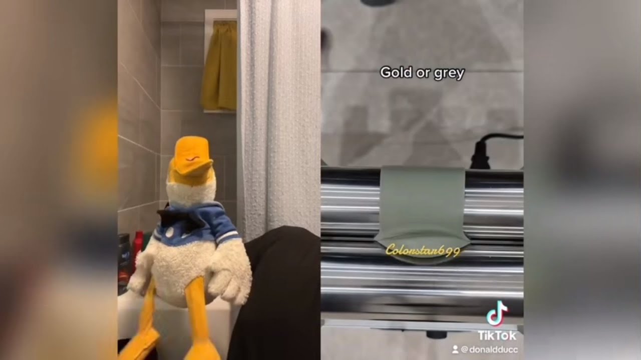 Donald Duck Reacts To Satisfying TikToks 12 (TRY NOT TO LAUGH OR SMILE ...
