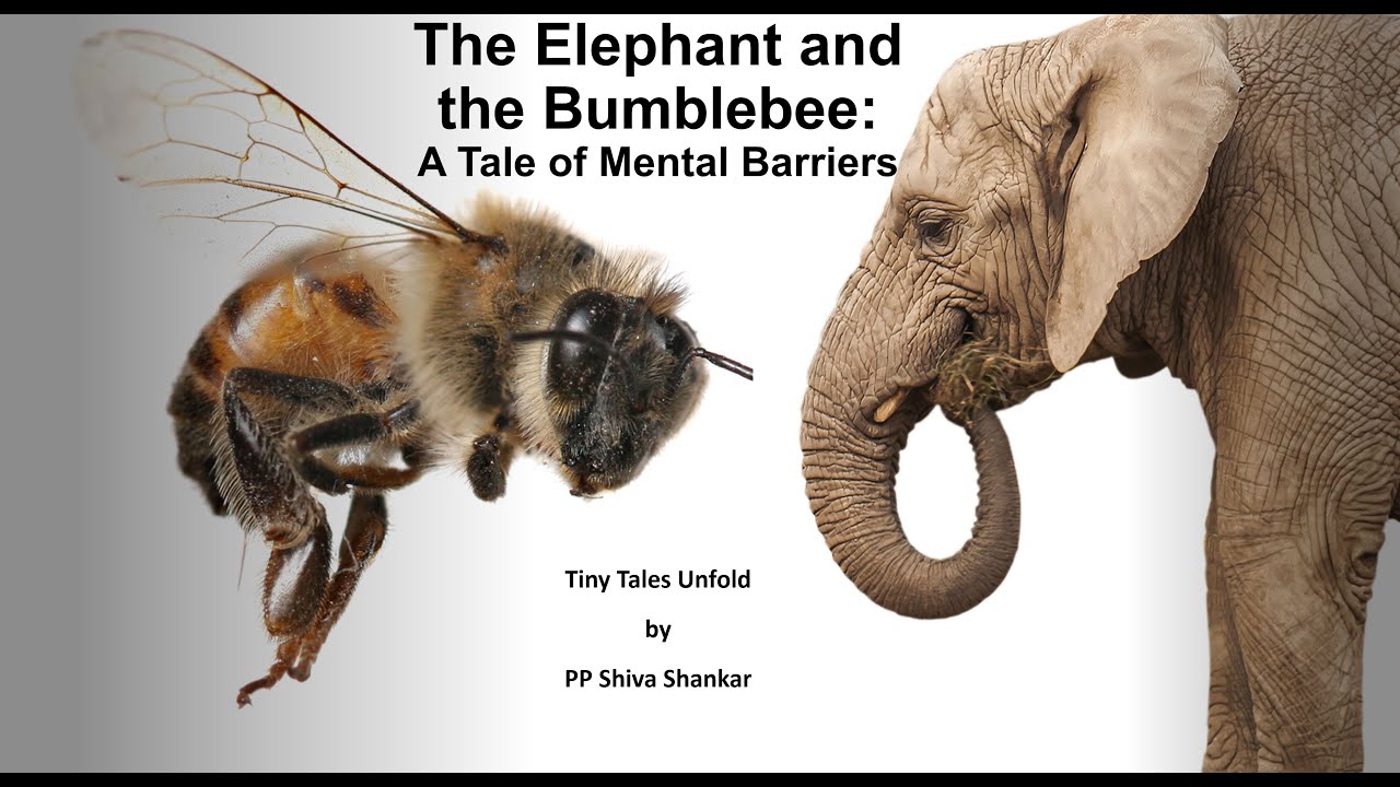 The Elephant and the Bumblebee A Tale of Mental Barriers #story # ...