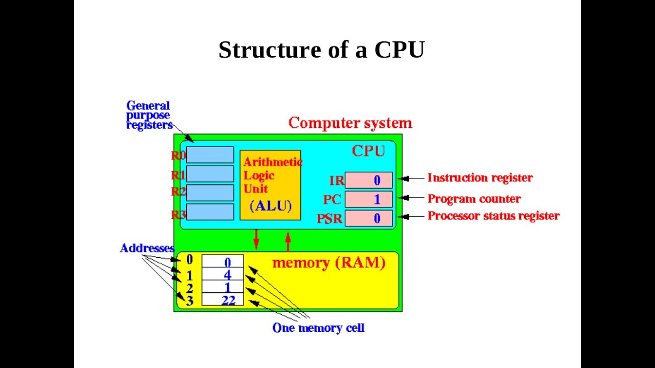 Information Technology Video 5: CPU Operation - YouTube