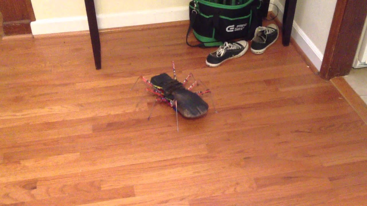 TSA 2012 National Conferance - Animatronics, 1st Place Entry - YouTube