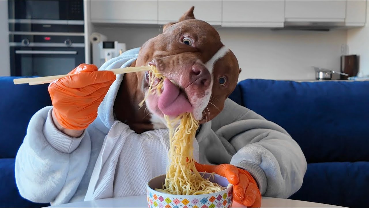 CHOCOLUNCH: Noodles - YouTube
