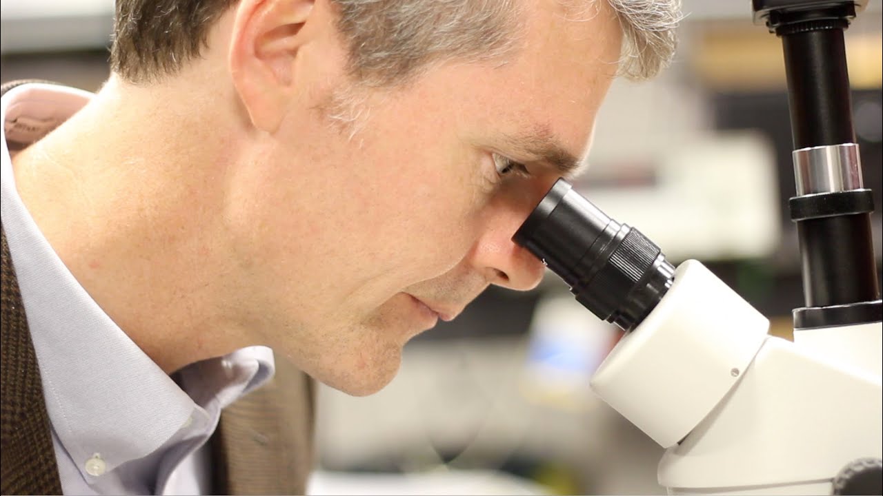 Dartmouth Engineering Professor Brian Pogue - YouTube