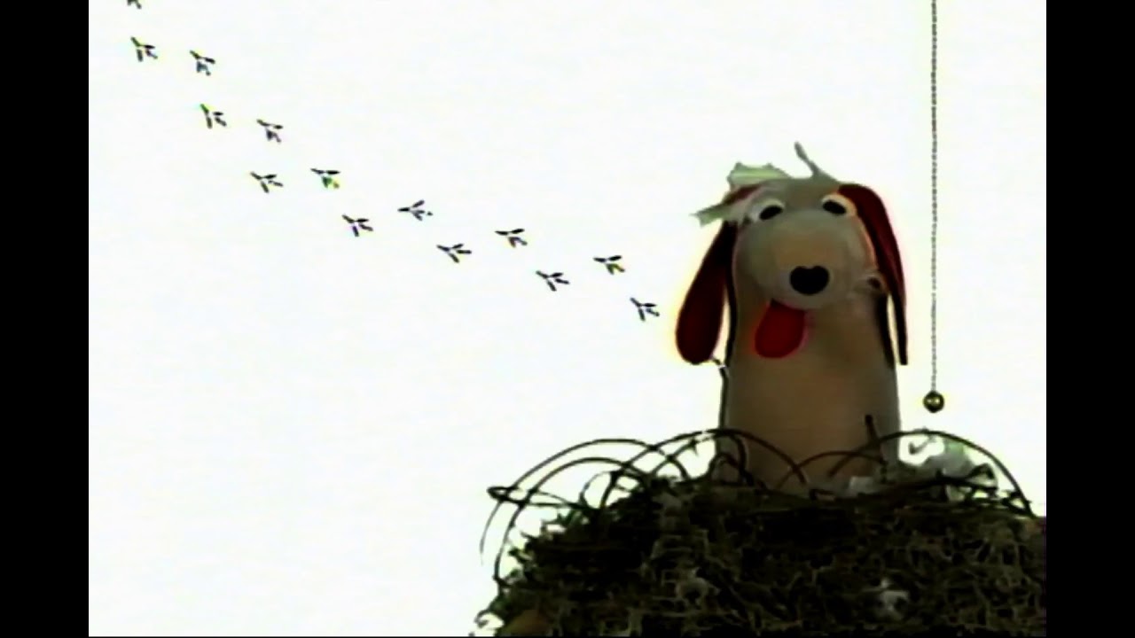 Baby Einstein SFX: Boing & Spring - YouTube