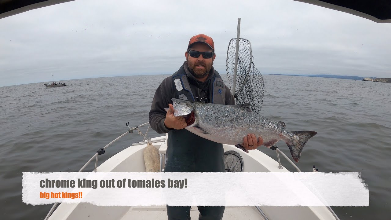 tomales bay salmon fishing "nice fish" - YouTube