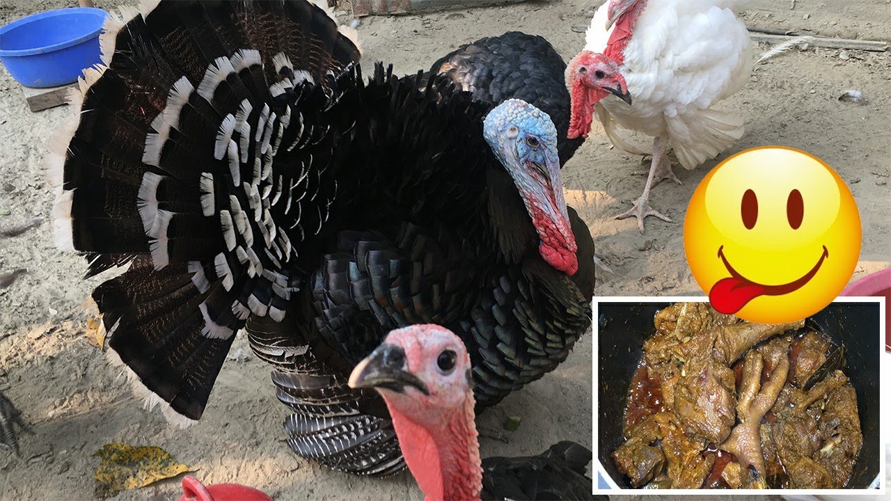 শাহী টার্কি ভুনা / Shahi Tarki Vuna | Tarki chicken Curry Recipe in ...