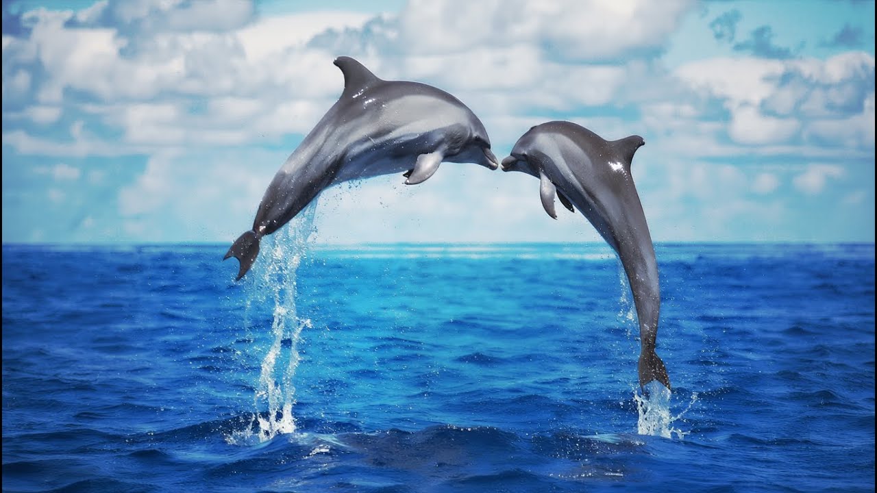 On Green Dolphin Street (Alan Brock, Joe Beck, Brandon Fields, Lionel ...