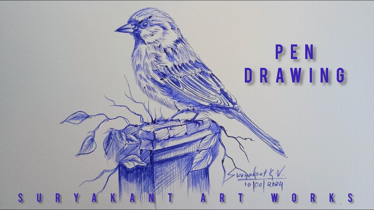 Easy bird drawing step by step||pen drawing||how to draw birds tutorial ...