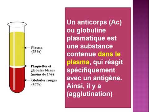 Le facteur Rhésus - SVT - 3AC - YouTube