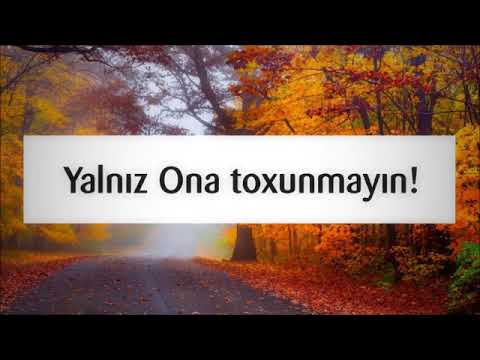 #890 Yalnız Ona toxunmayın! ¦¦ Ramil Soltanov