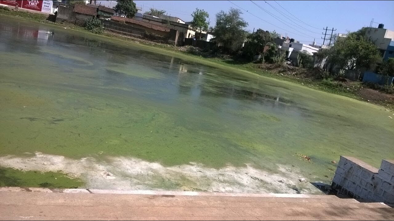3rd technical session , lecture by Dr. Hemant Kumar Pathak on FISH AND ...