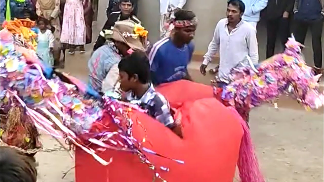 Santali Traditional Biye Culture || Santali Video || Sing Sadom Dance ...