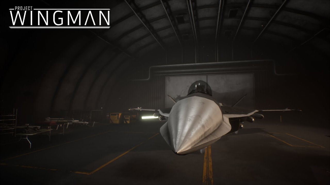 Project Wingman Mission 9 - Stepping Stone (Mercenary Revisited) - YouTube