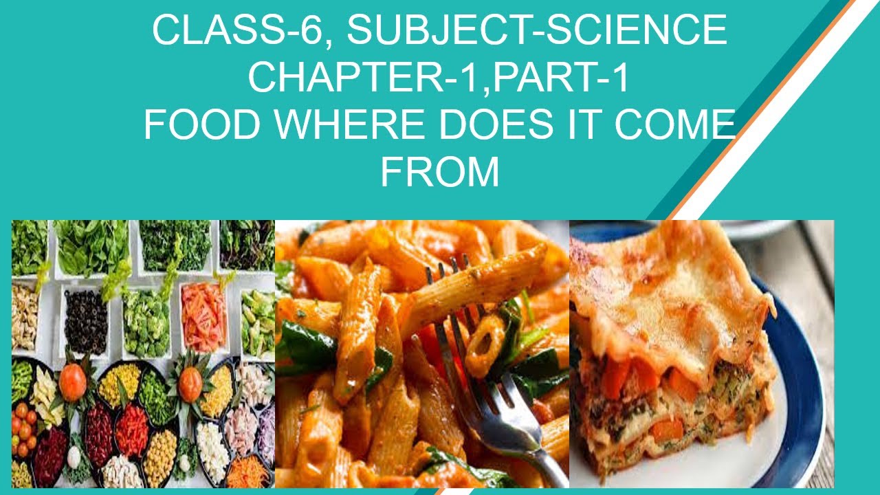 Class 6 science food Where Does It Come From YouTube class-6-science-food-where-does-it-come-from-youtube