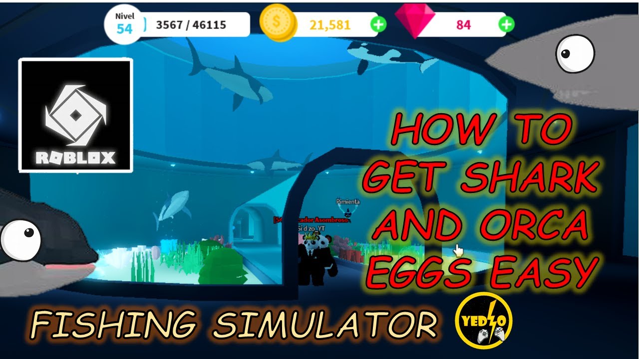 3 Tips For Getting Shark Or Orca Eggs In Fishing Simulator Roblox - YouTube
